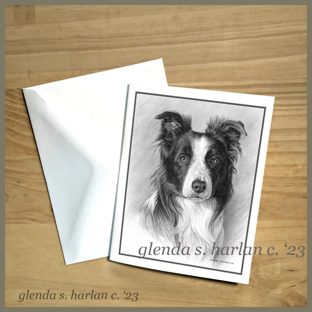 Border Collie Note Cards Fine Art Drawing Dog Lover Gift Border Collie ...