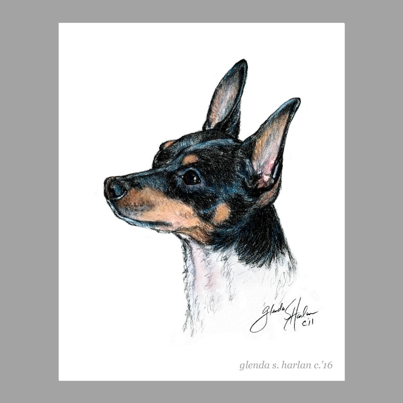 Toy Fox Terrier - Etsy