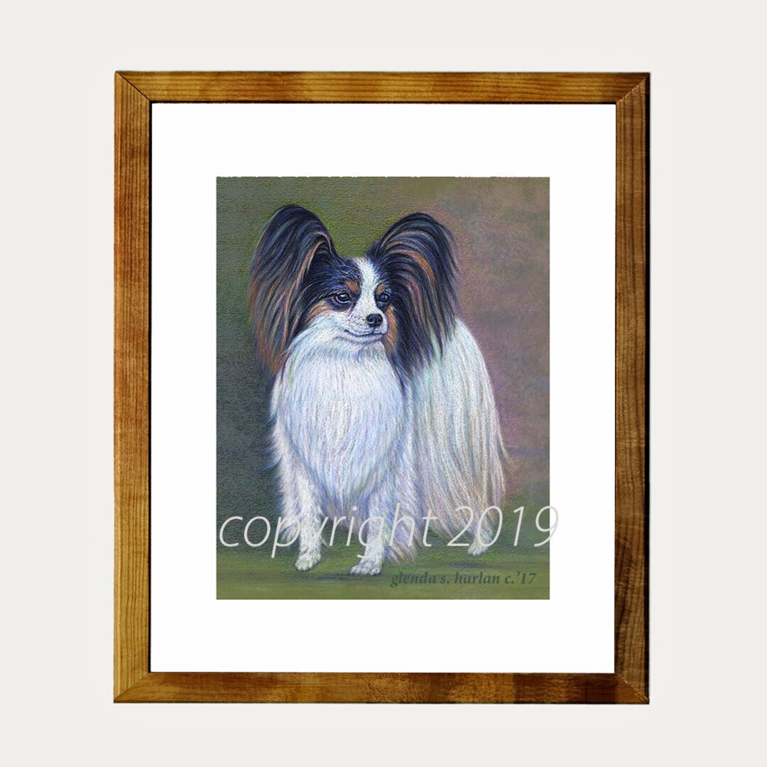 Papillon Tri Colored Fine Art 8x10 Print - Etsy