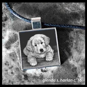 Golden Retriever Puppy in a Square Silver Pendant, Black Adjustable ...
