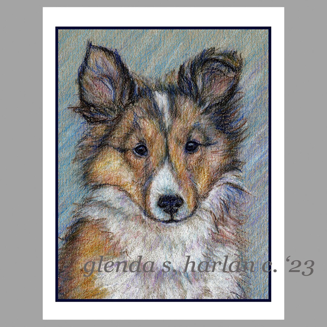 Sheltie Pup Dog Notecards Fine Art Drawing Dog Lover Gift Shetland ...