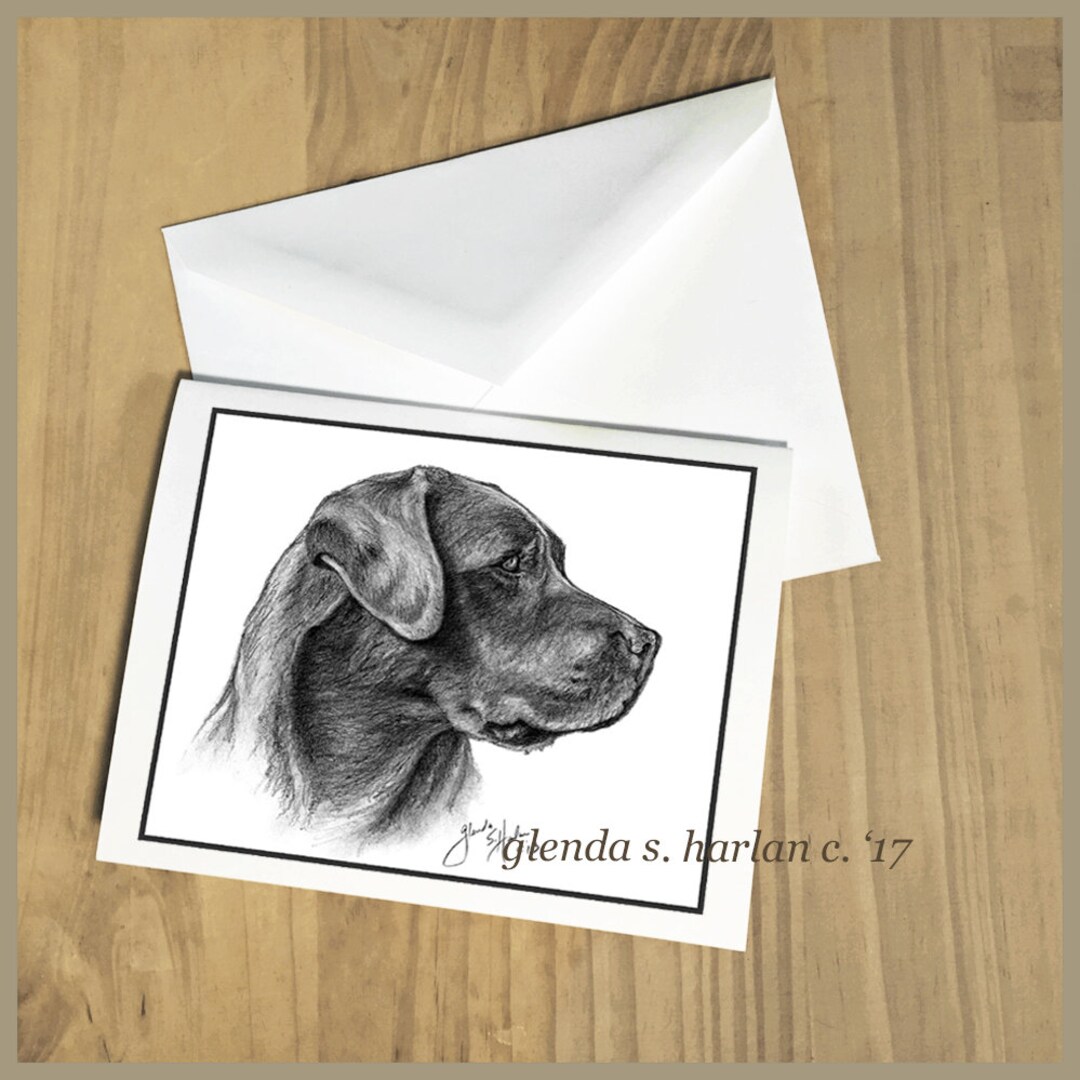 Labrador Retriever Dog Note Cards Fine Art Drawing Dog Lover Gift ...
