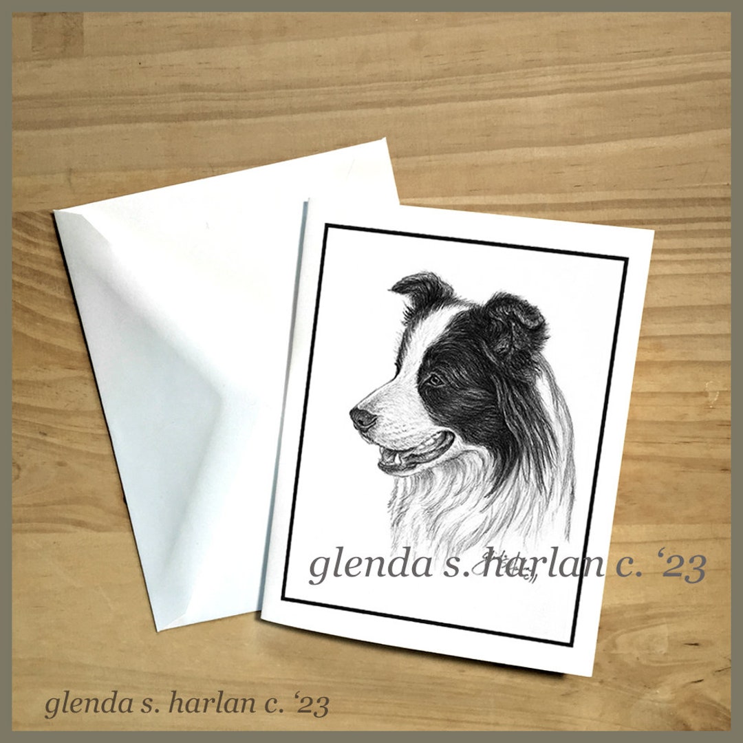 Border Collie Note Cards Fine Art Drawing Dog Lover Gift Collie Mom ...