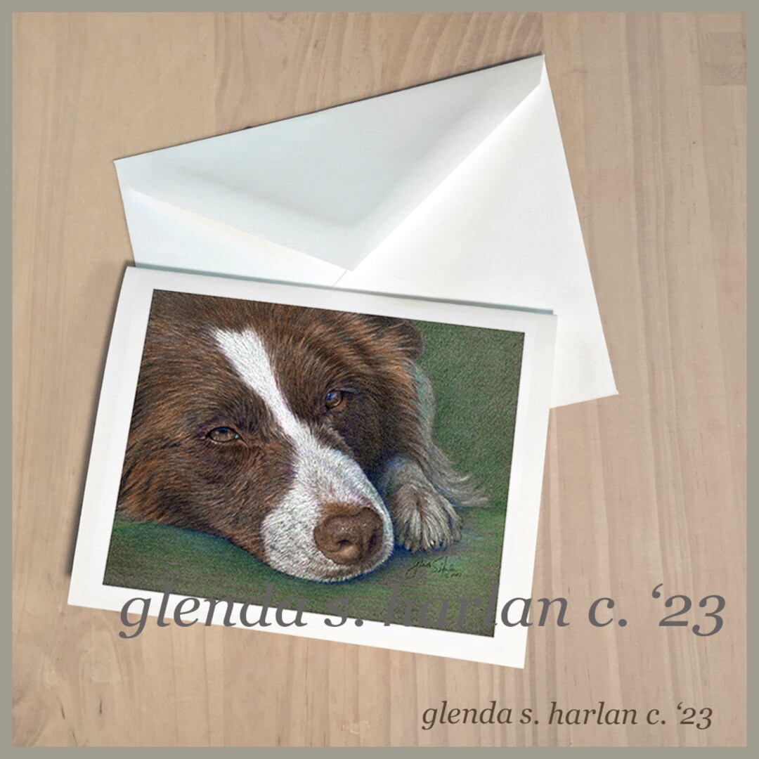 Border Collie Note Cards Fine Art Drawing Dog Lover Gift Red Border ...