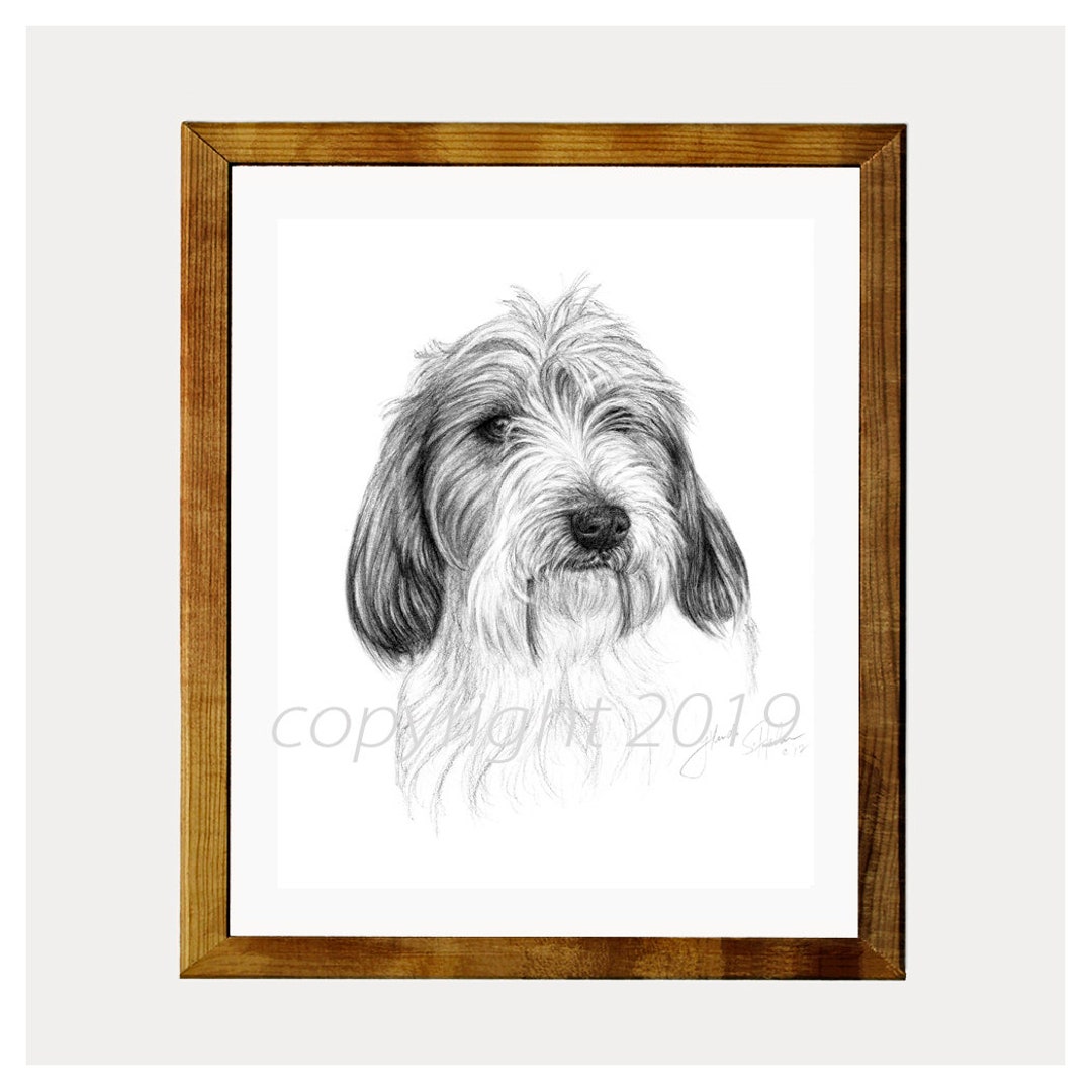 PBGV Hound Fine Art 8x10 Print by Glenda S. Harlan - Etsy UK
