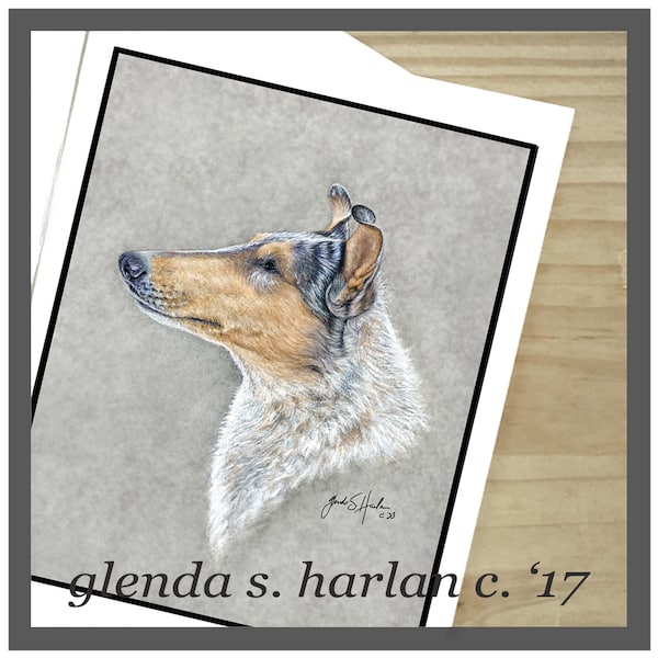 Collie Cards - Etsy