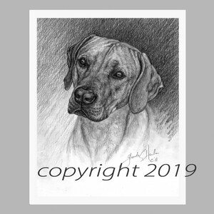 Rhodesian Ridgeback Dog 8x10 Print by Glenda S. Harlan - Etsy