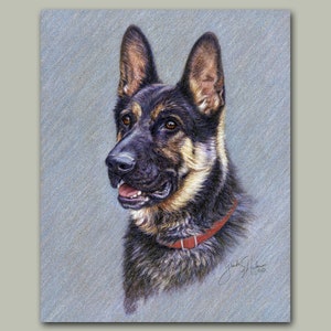 German Shepherd Colored Pencil Drawing 8x10 Print by Glenda S. Harlan ...