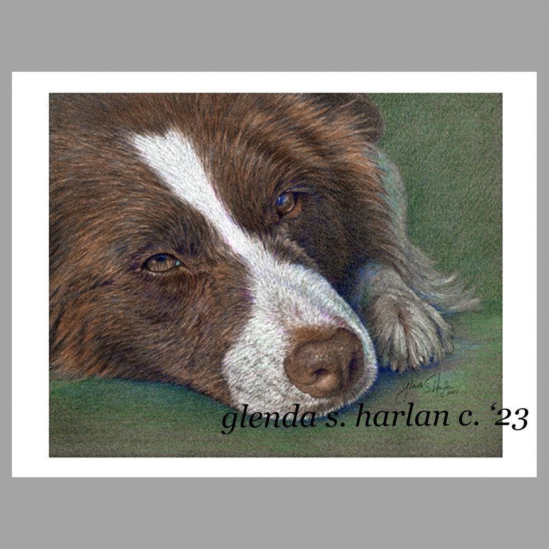 Border Collie Note Cards Fine Art Drawing Dog Lover Gift Red Border ...