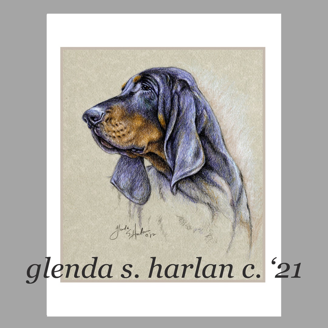 Black and Tan Coon Hound Dog Note Cards Fine Art Dog Drawing Gift Coon ...
