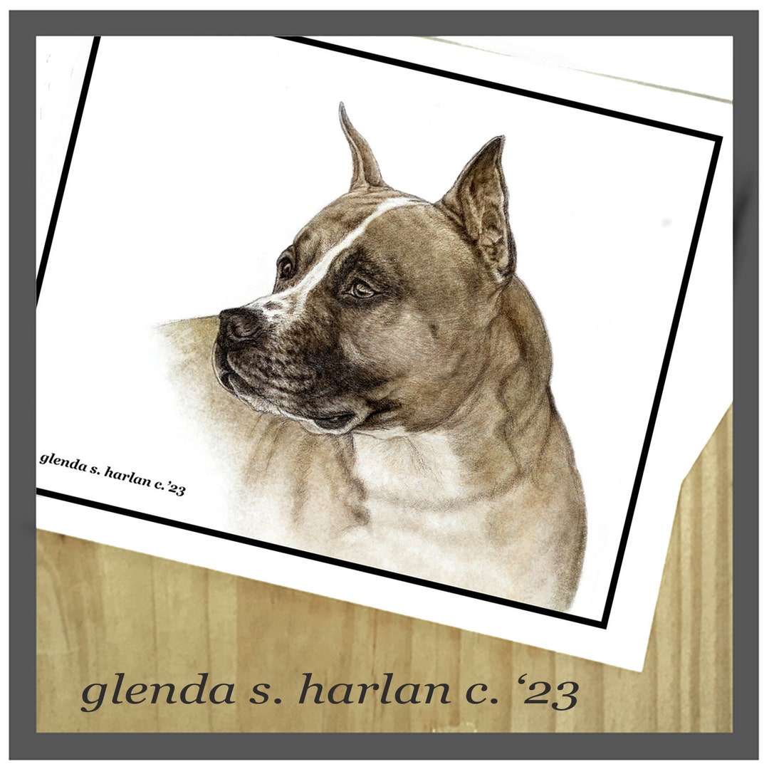 American Staffordshire Terrier Note Cards Fine Art Drawing Dog Lover ...