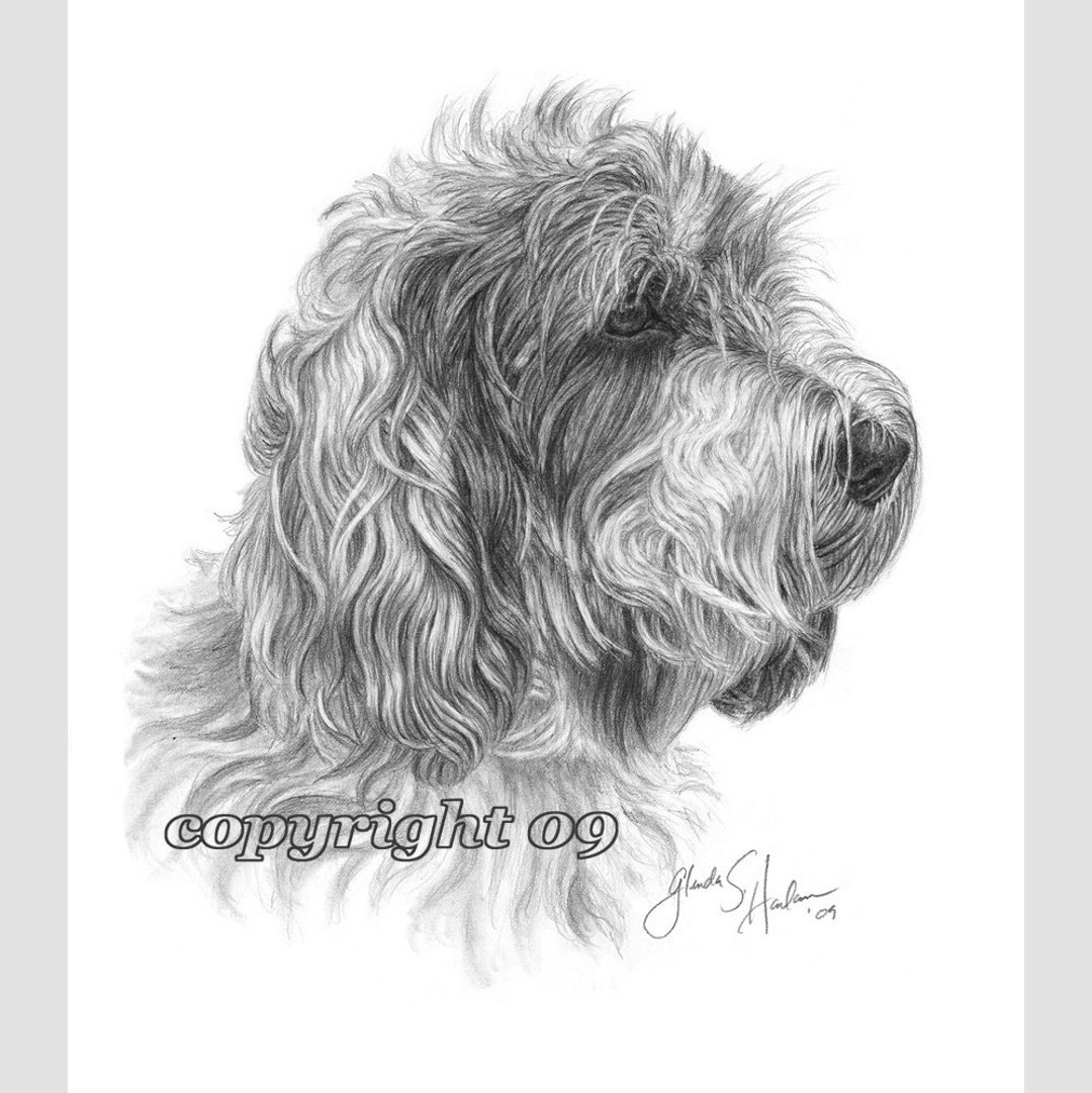 PBGV Dog Fine Art 8x10 Print - Etsy