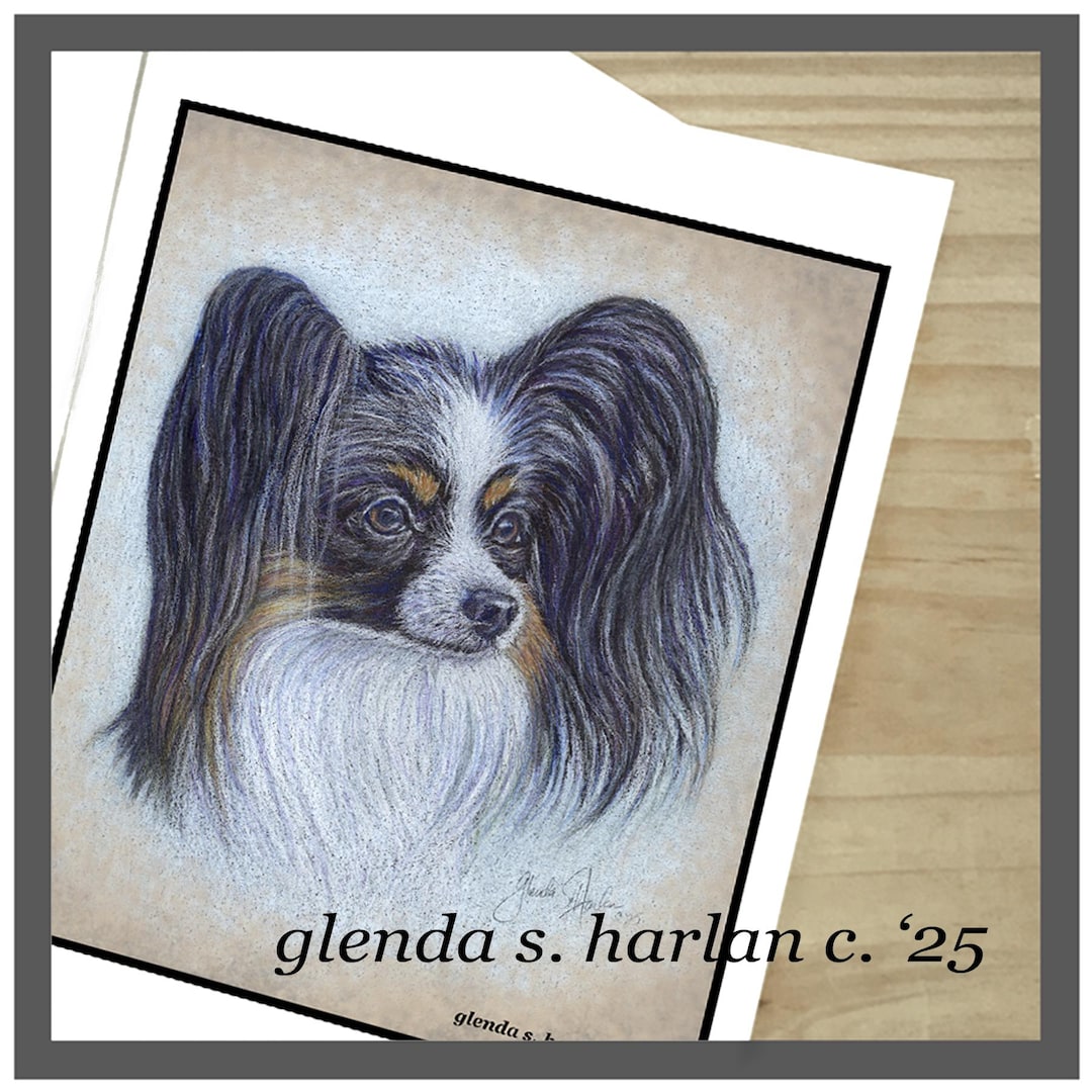 Papillon Dog, Tri, Note Cards - Set of Four or Eight - Papillon Art ...