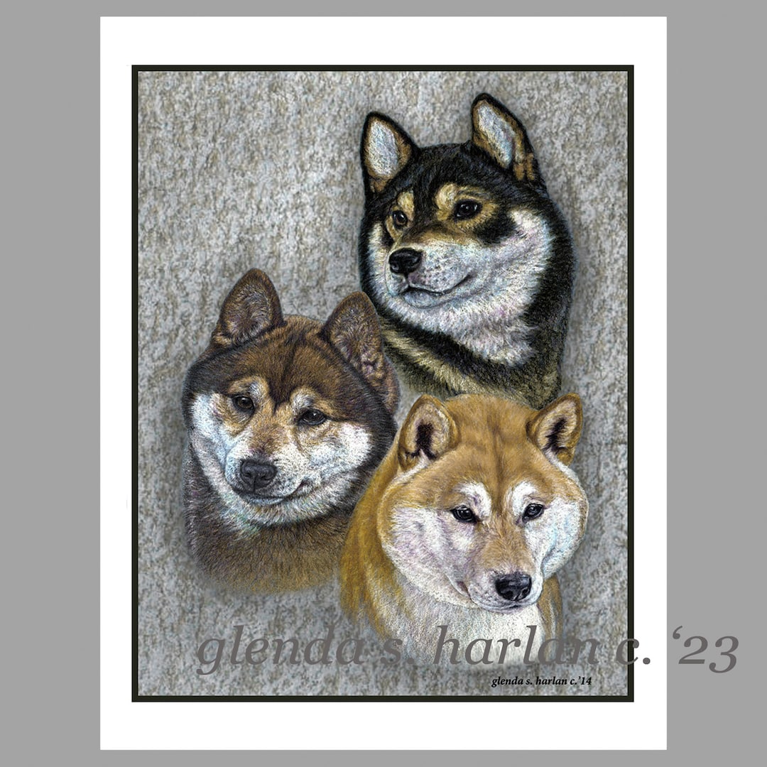 Shiba Inu Note Cards Fine Art Drawing Dog Lover Gift Shiba Mom ...