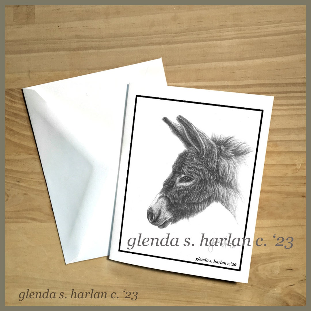 Donkey Note Cards Fine Art Drawing Equine Lover Gift Donkey Mom Gift ...