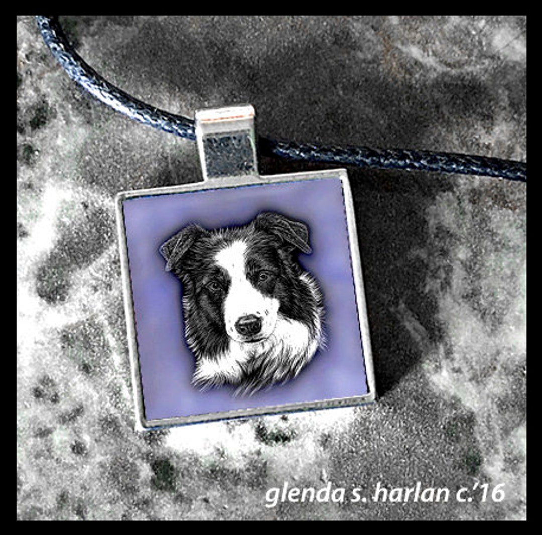 Border Collie With Blue Background, Silver Bezel Pendant, Black ...