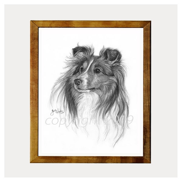 Sheltie Art - Etsy
