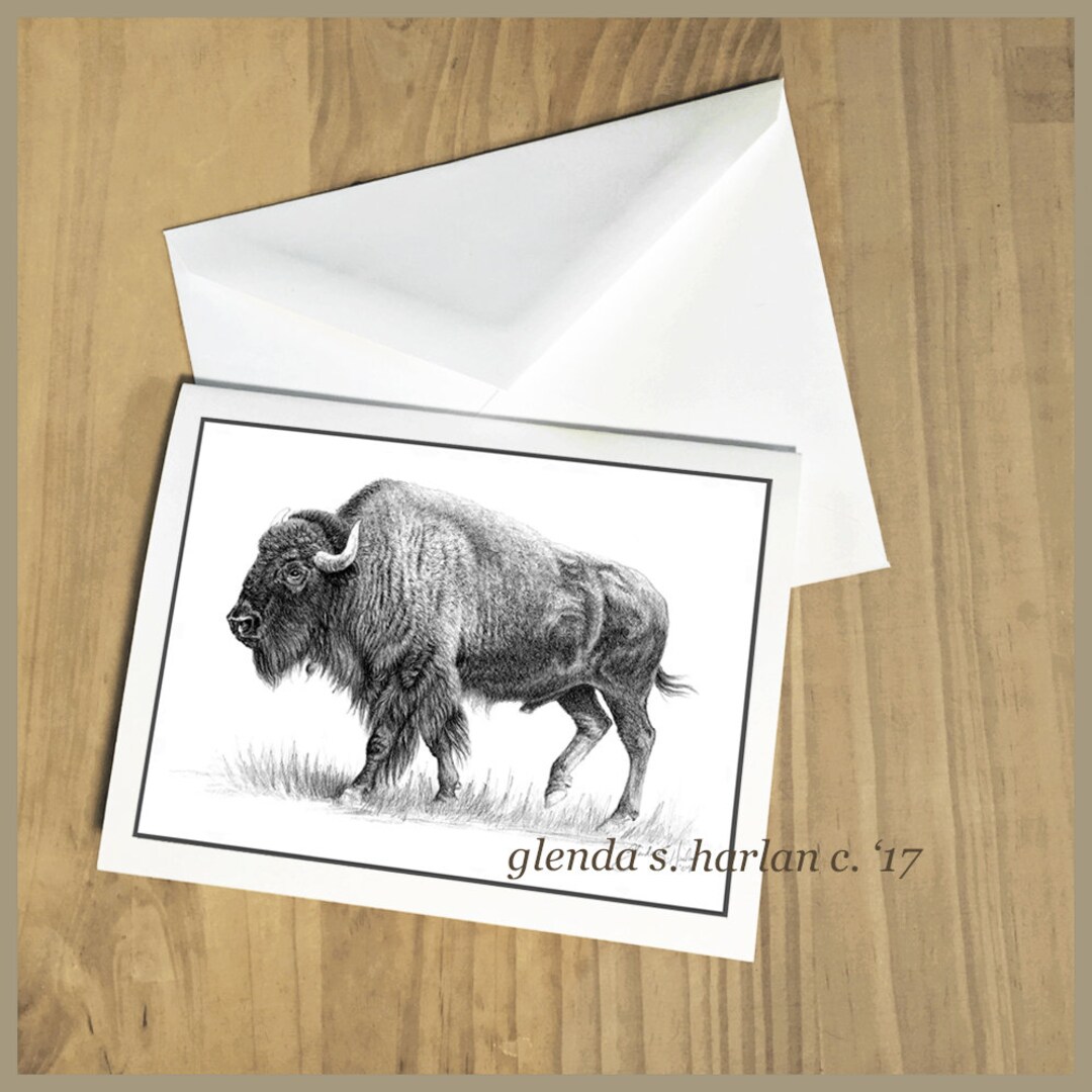 American Bison Note Cards Fine Art Drawing Buffalo Lover Gift ...