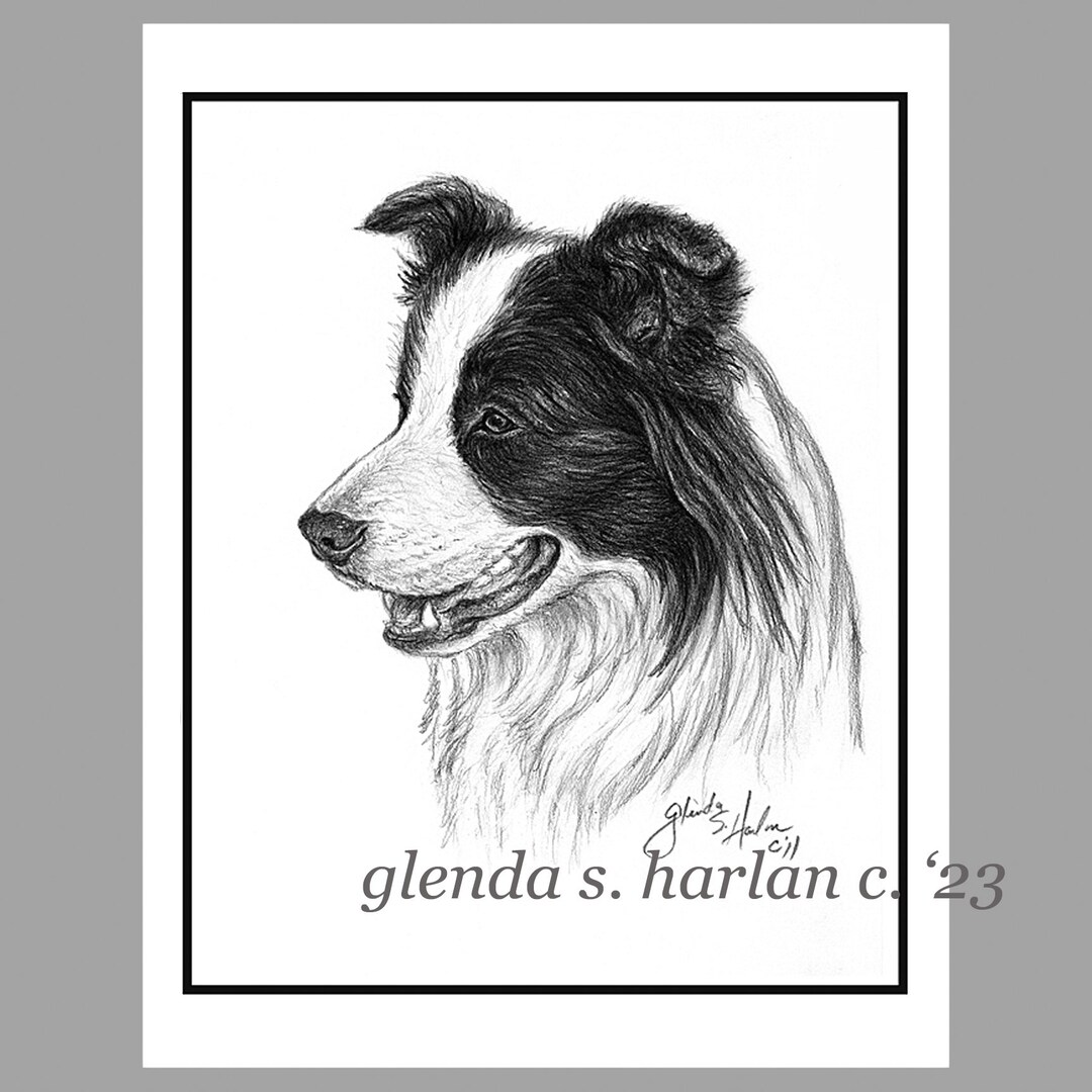 Border Collie Dog Note Cards Fine Art Drawing Dog Lover Gift Collie Mom ...