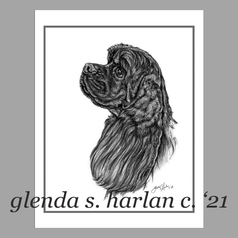 Black Cocker Spaniel - Etsy