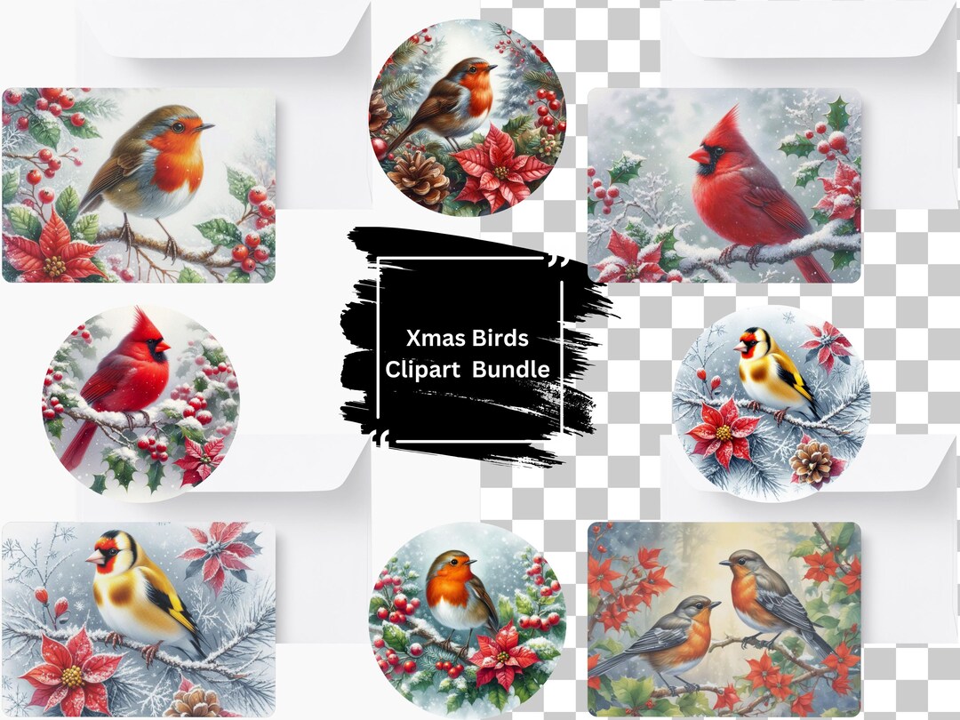 30 Christmas Bird Clipart | 5x5 Inches, JPG, 300 DPI, Digital Download ...