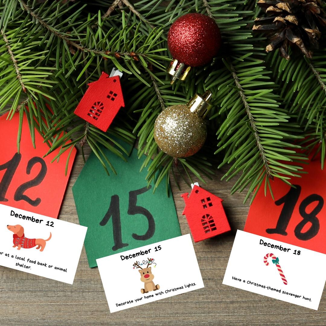 25 Printable Advent Kids Activity Cards Holiday Cards for Family Advent ...
