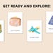 Printable Flashcards for Kids | Travel Flashcards | Digital Flashcards ...