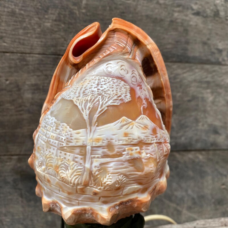 Conch Shell Lamp - Etsy