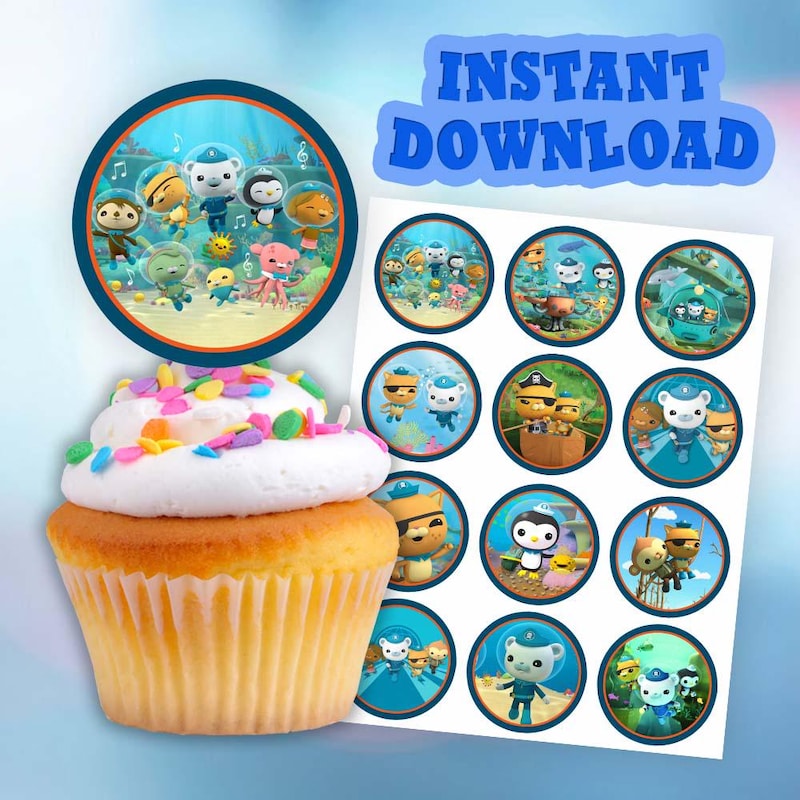 Octonauts Cake Topper - Etsy Australia