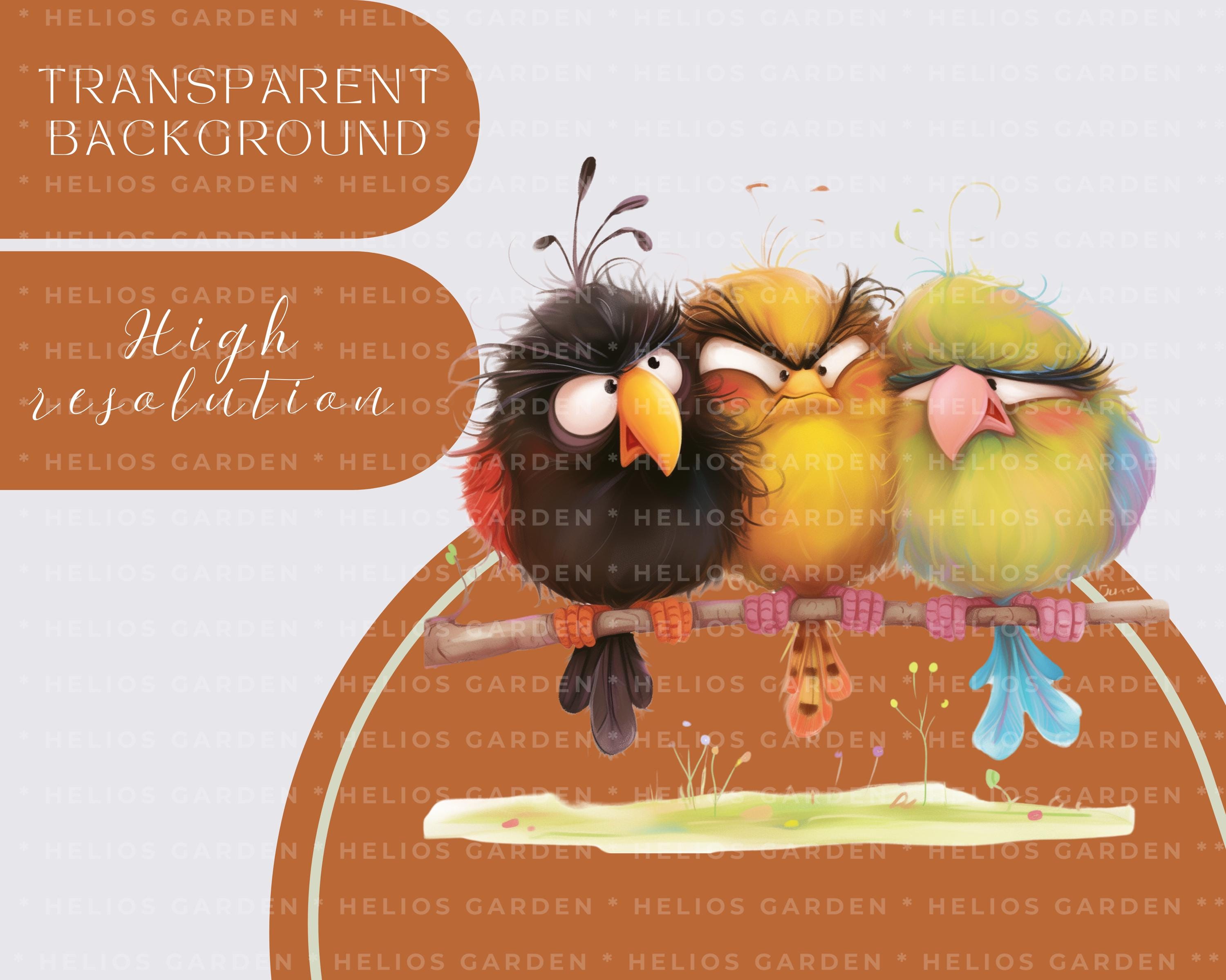 Quirky Bird Clipart: Whimsical PNG Illustrations (digital Download) - Etsy