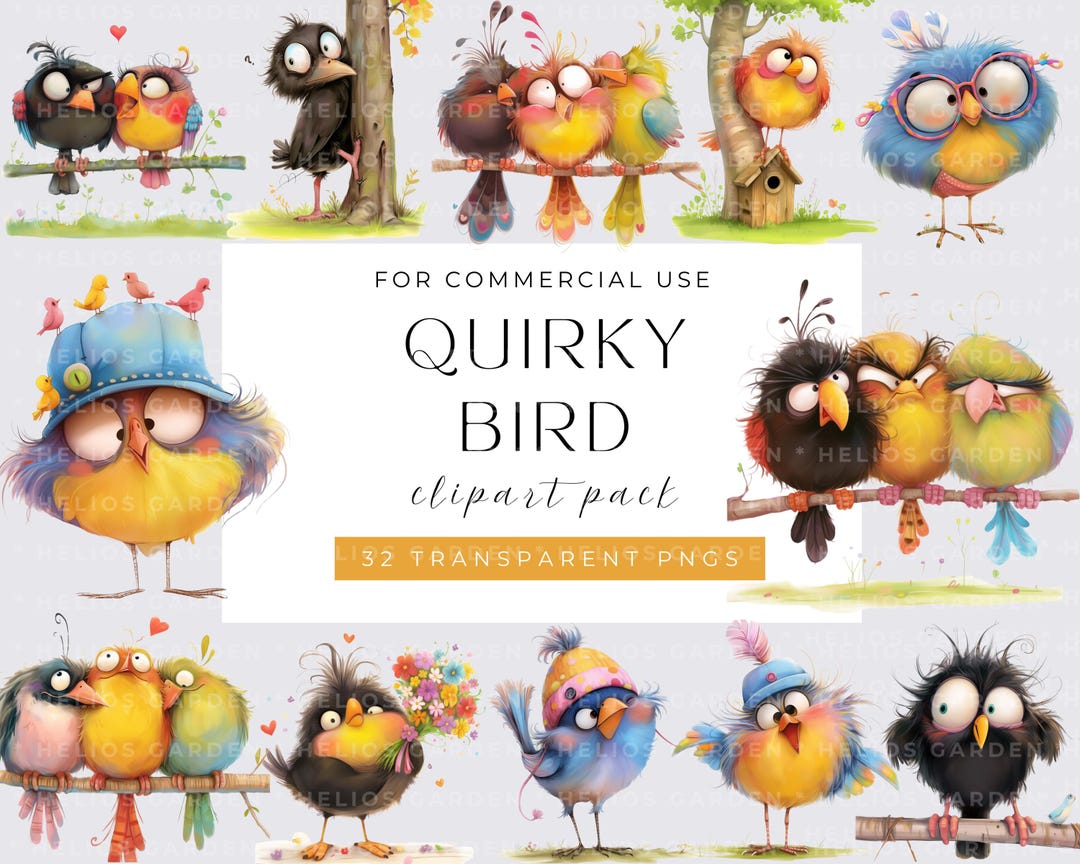 Quirky Bird Clipart: Whimsical PNG Illustrations (digital Download) - Etsy