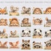 Quirky Animals Adorable Animals Peeking Out Clipart Set Cute Animal ...
