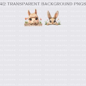 Quirky Animals Adorable Animals Peeking Out Clipart Set Cute Animal ...