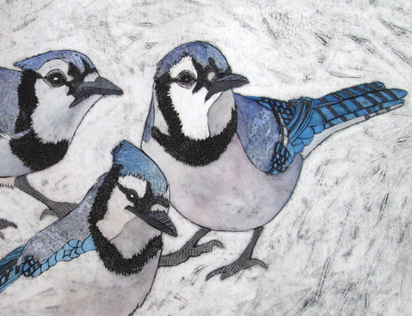Blue Jay Bird Art Original Collagraph Print Blue Jays 2 - Etsy