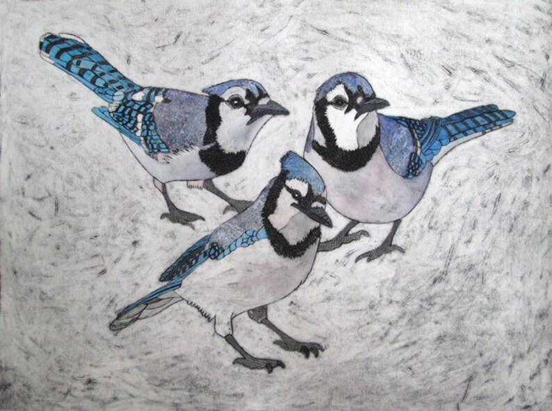 Blue Jay Bird Art Original Collagraph Print Blue Jays 2 - Etsy