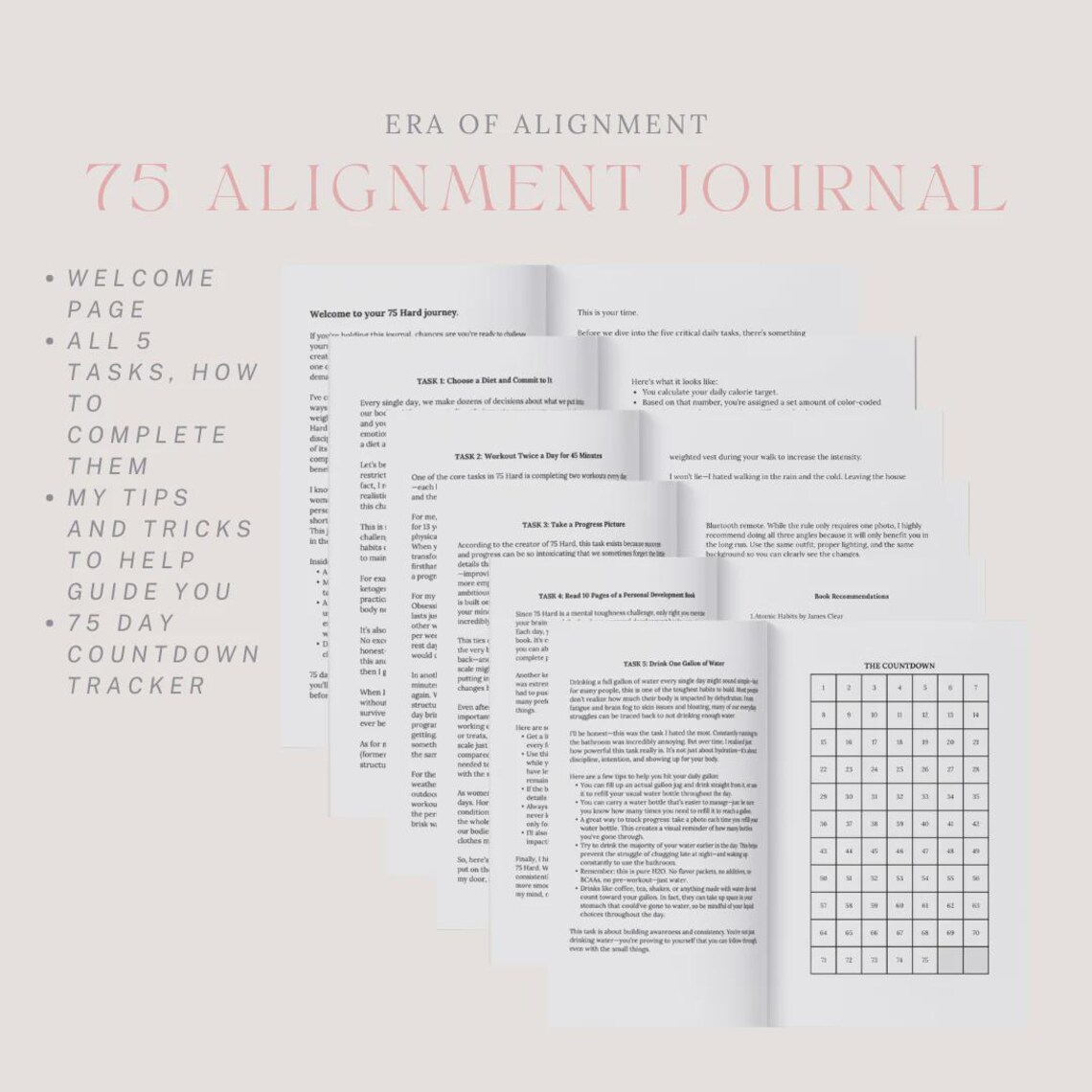 75 Day Challenge Journal: Alignment & Mental Toughness - Etsy