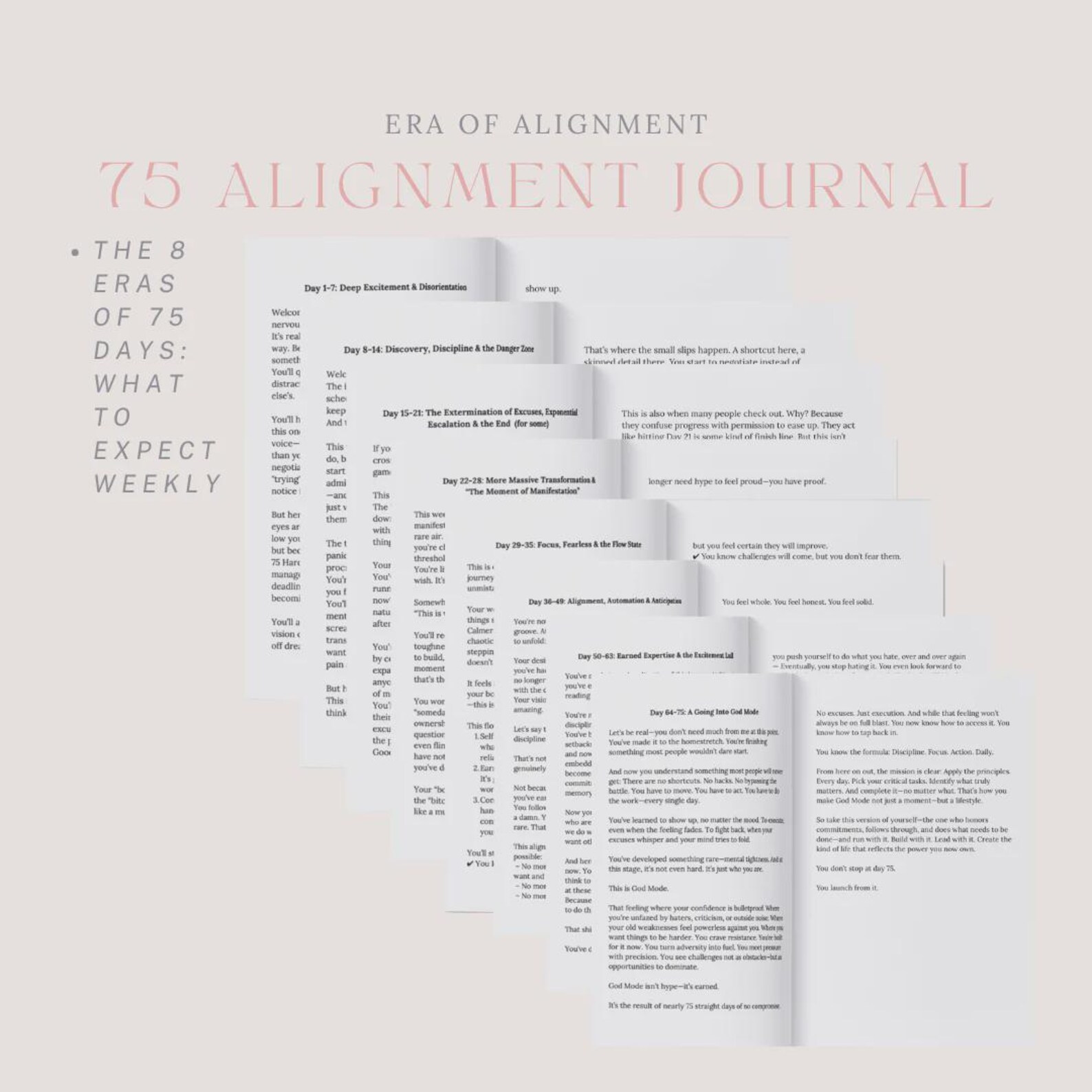 75 Day Challenge Journal: Alignment & Mental Toughness - Etsy