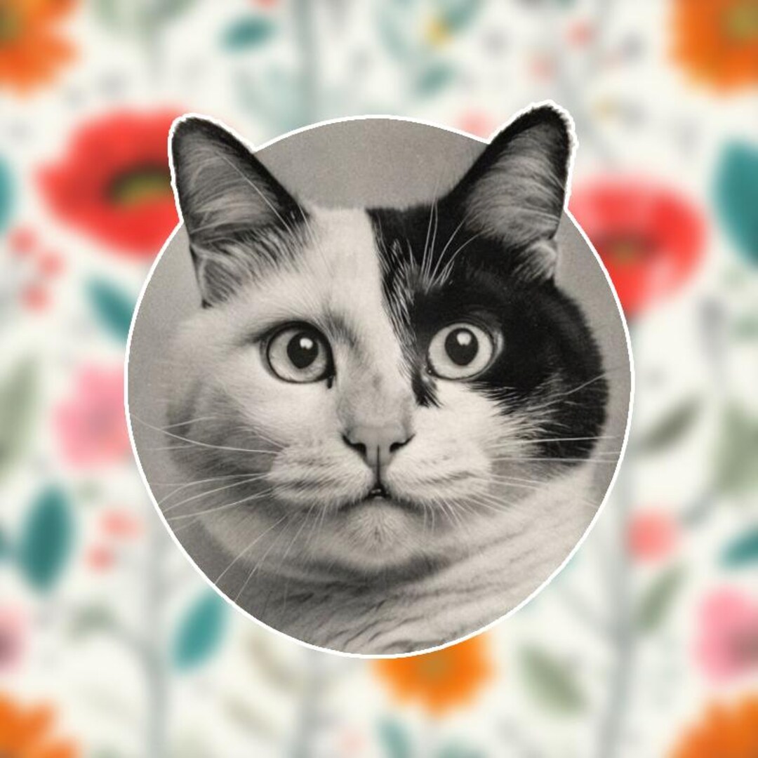 Cat Meme Kiss-cut Vinyl Decals Funny Animal Stickers for Laptop, Phone ...