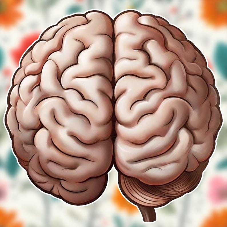 Brain Sticker Decals, Vinyl Laptop Stickers, Nerdy Gifts, Cute Planner ...