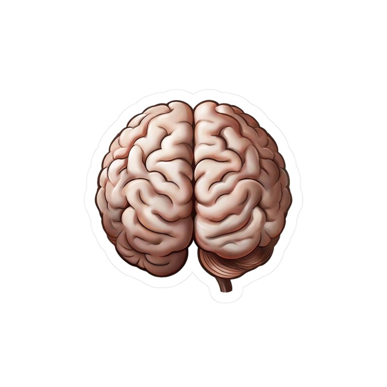 Brain Sticker Decals, Vinyl Laptop Stickers, Nerdy Gifts, Cute Planner ...