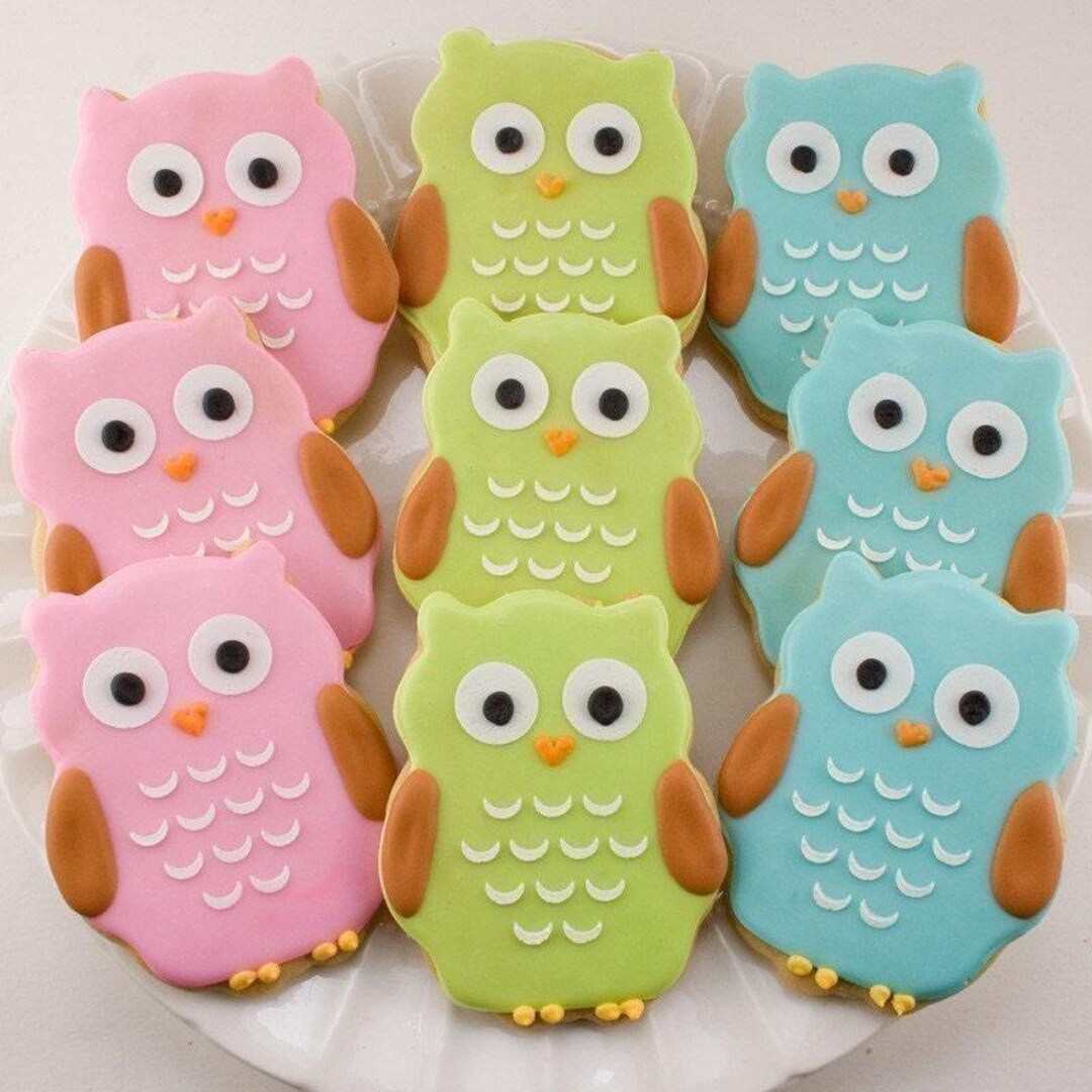 Owl Cookies (4"), Sealed & Bowed - Next Ship Date is 2/17/26 or Can ...