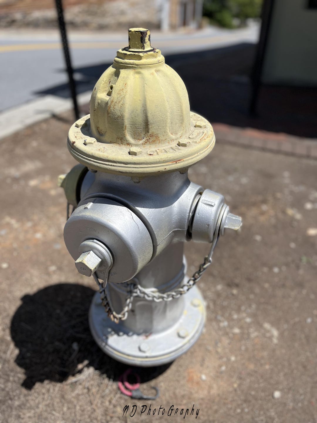 DOWNTOWN DALLAS ~ Fire Hydrant, Digital Print - Etsy