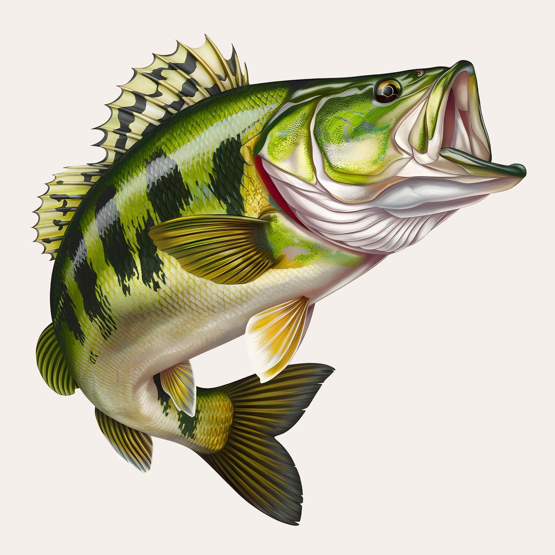 Jumping Fish PNG | Fishing Clipart | Splashing Fish Illustration ...