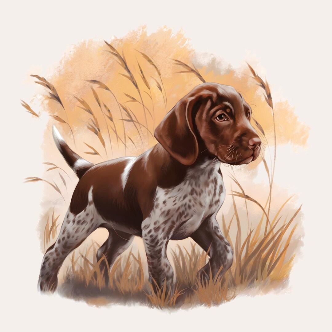 Puppy in Field Hunting Scene PNG | Dog in Grass Digital Art | Outdoor ...