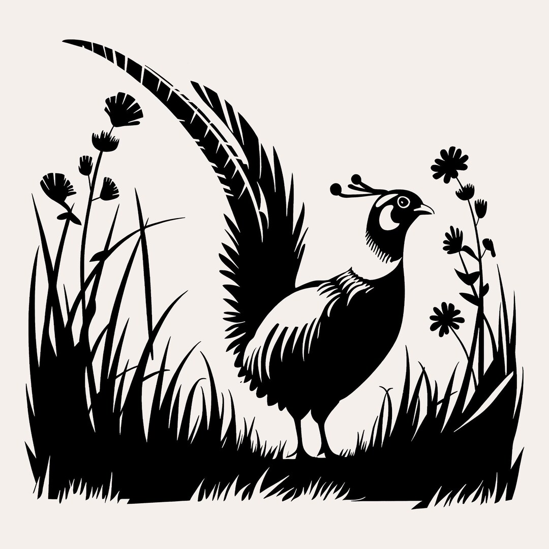 Pheasant in Field SVG | Hunting Illustration Design | Game Bird SVG ...