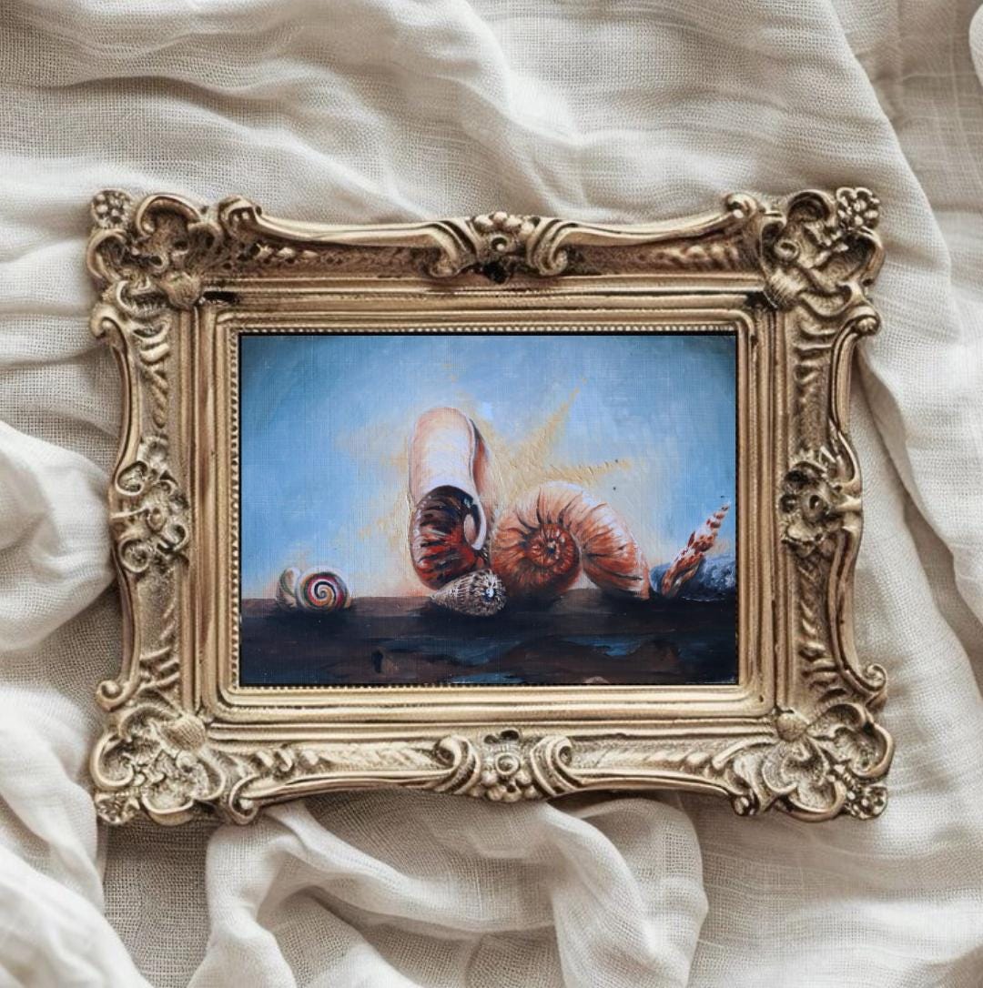 Allonautilus Scrobiculatus | Endangered Seashells | Endangered Animal ...