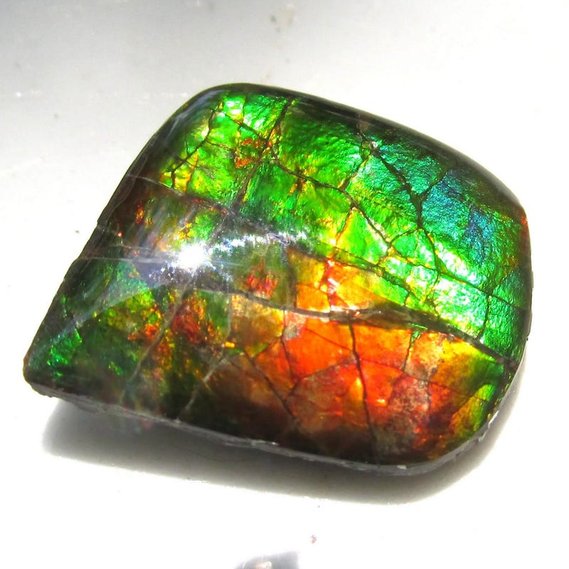 Ammolite - Etsy