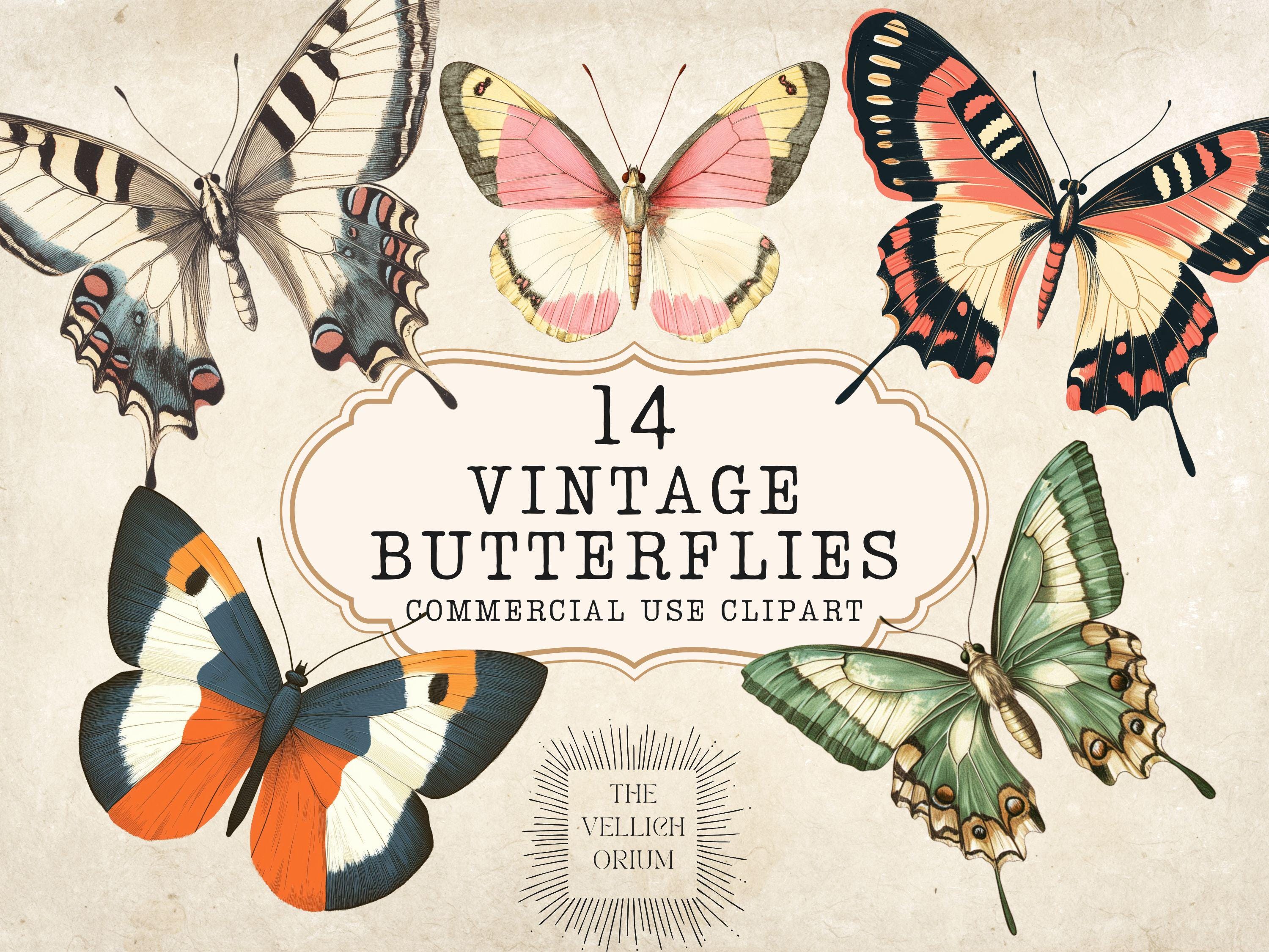 Vintage Butterfly Clipart Bundle | Retro Butterflies | Ephemera for ...