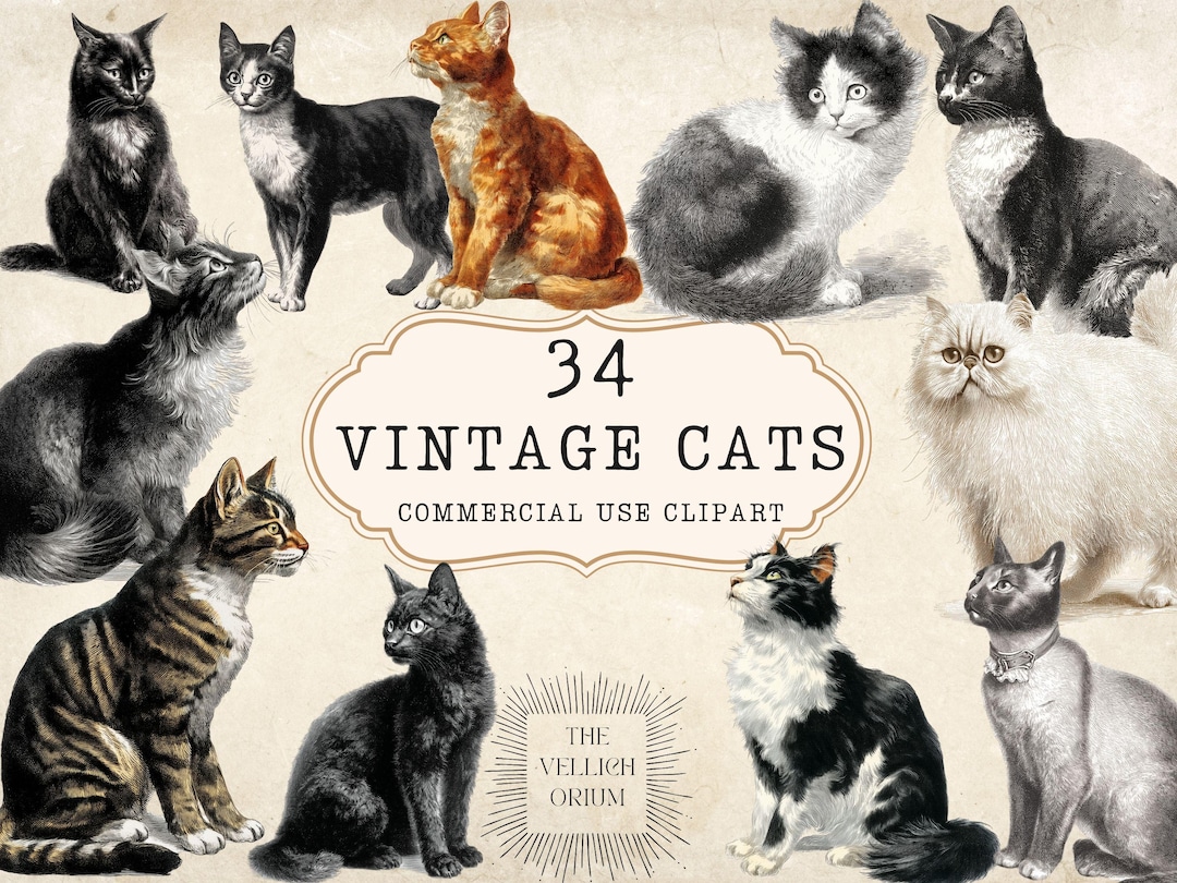 Vintage Cat Clipart for Junk Journals, Antique Cat Illustrations, Cat ...