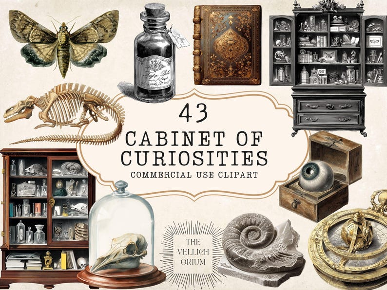 Cabinet of Curiosities Clipart, Museum Oddities and Vintage Specimen ...